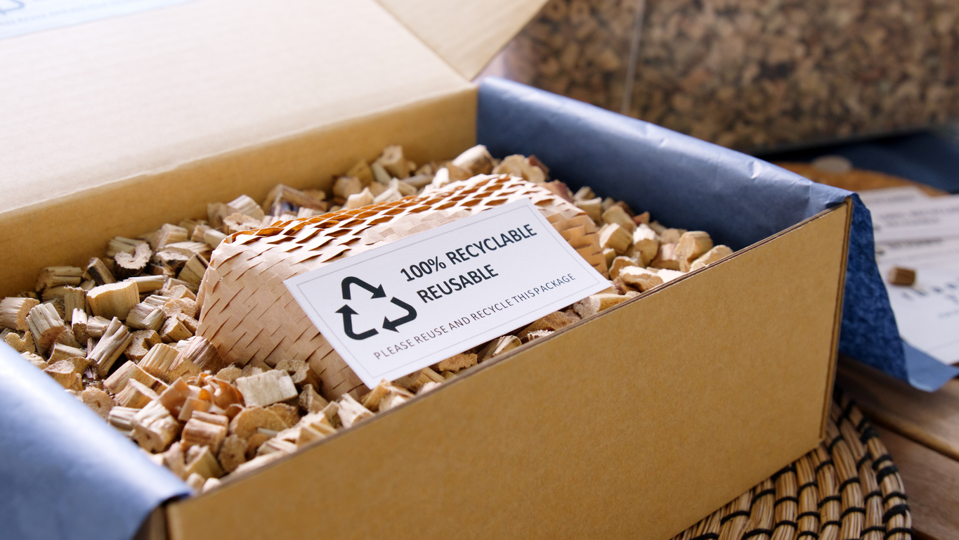 Packaging Waste Regulations – Implications of Waste Disposal Fees